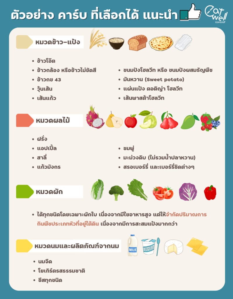 ทางเลือกสายสุขภาพที่รัก คาร์บ เเต่ยังดูสุขภาพดี - Eatwellconcept