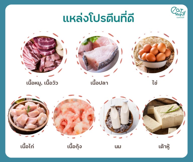 คู่มือเลือก อาหารเพิ่มกล้ามเนื้อ ที่หาซื้อได้ 7-11 - Eatwellconcept