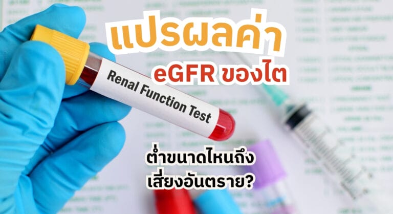 แปรผลค่า eGFR ของไต ต่ำขนาดไหนถึงเสี่ยงอันตราย? - อีทเวลล์คอนเซปต์ ...